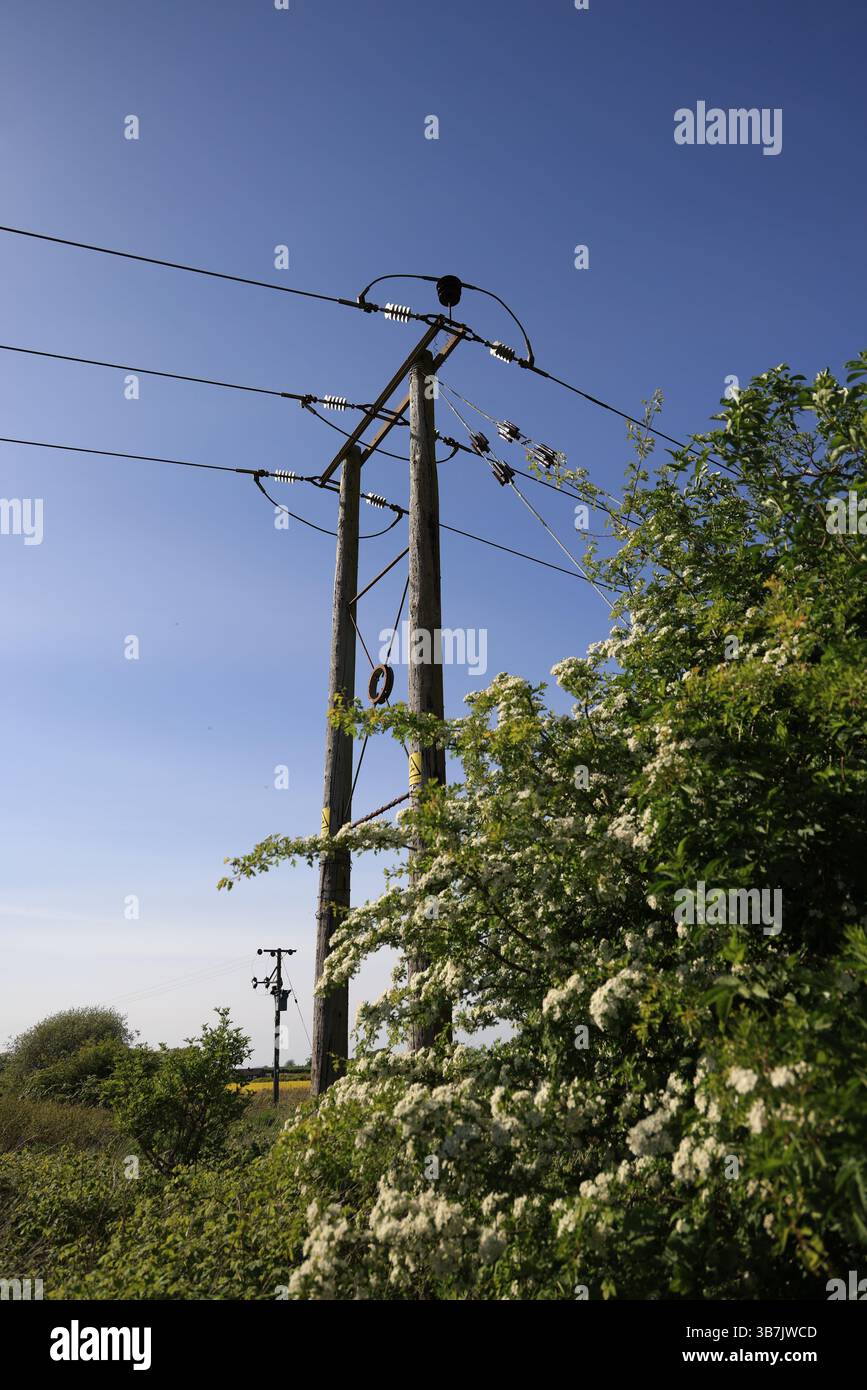 old wooden electricity post Stock Photo - Alamy