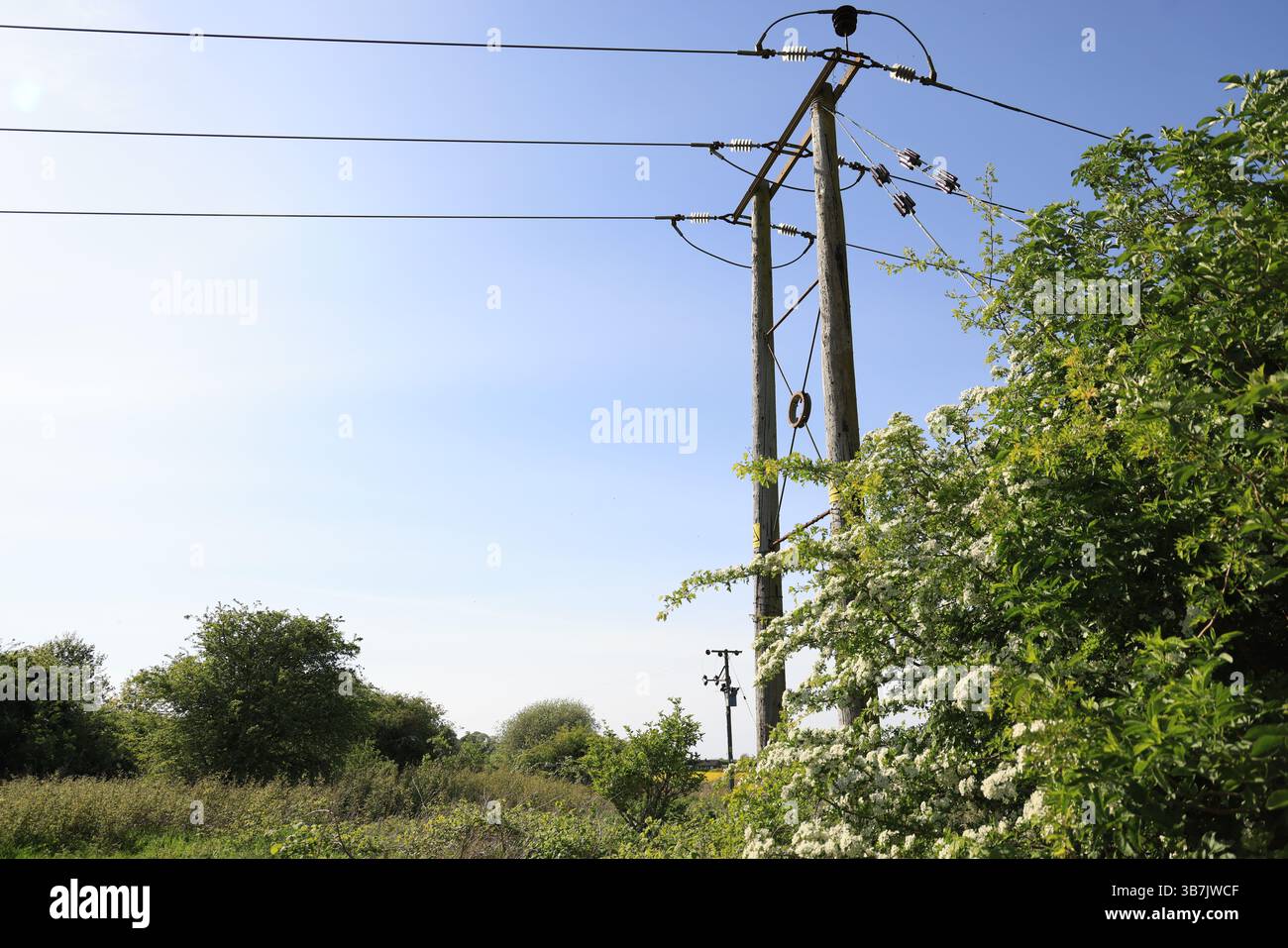 old wooden electricity post Stock Photo - Alamy