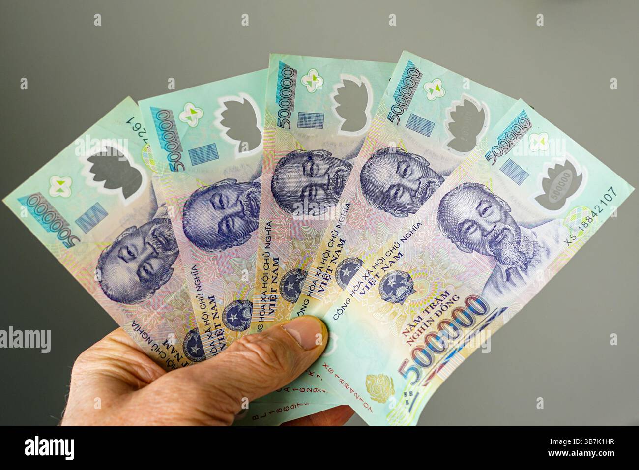 Hand holding five 500,000 dong denominations Vietnamese banknotes on a ...