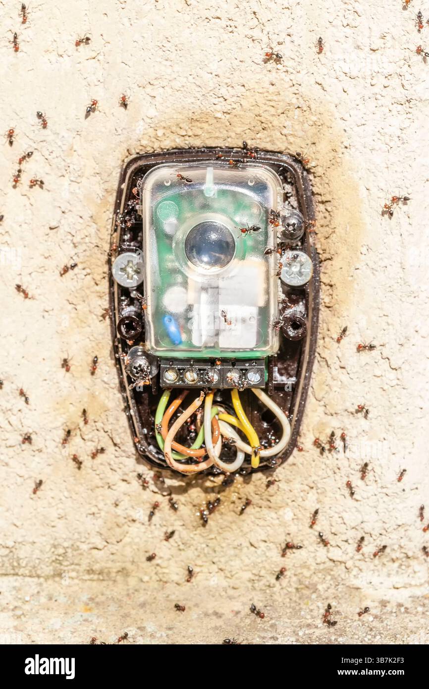 Safety photocell for automatic gates has been invaded by a group of ...