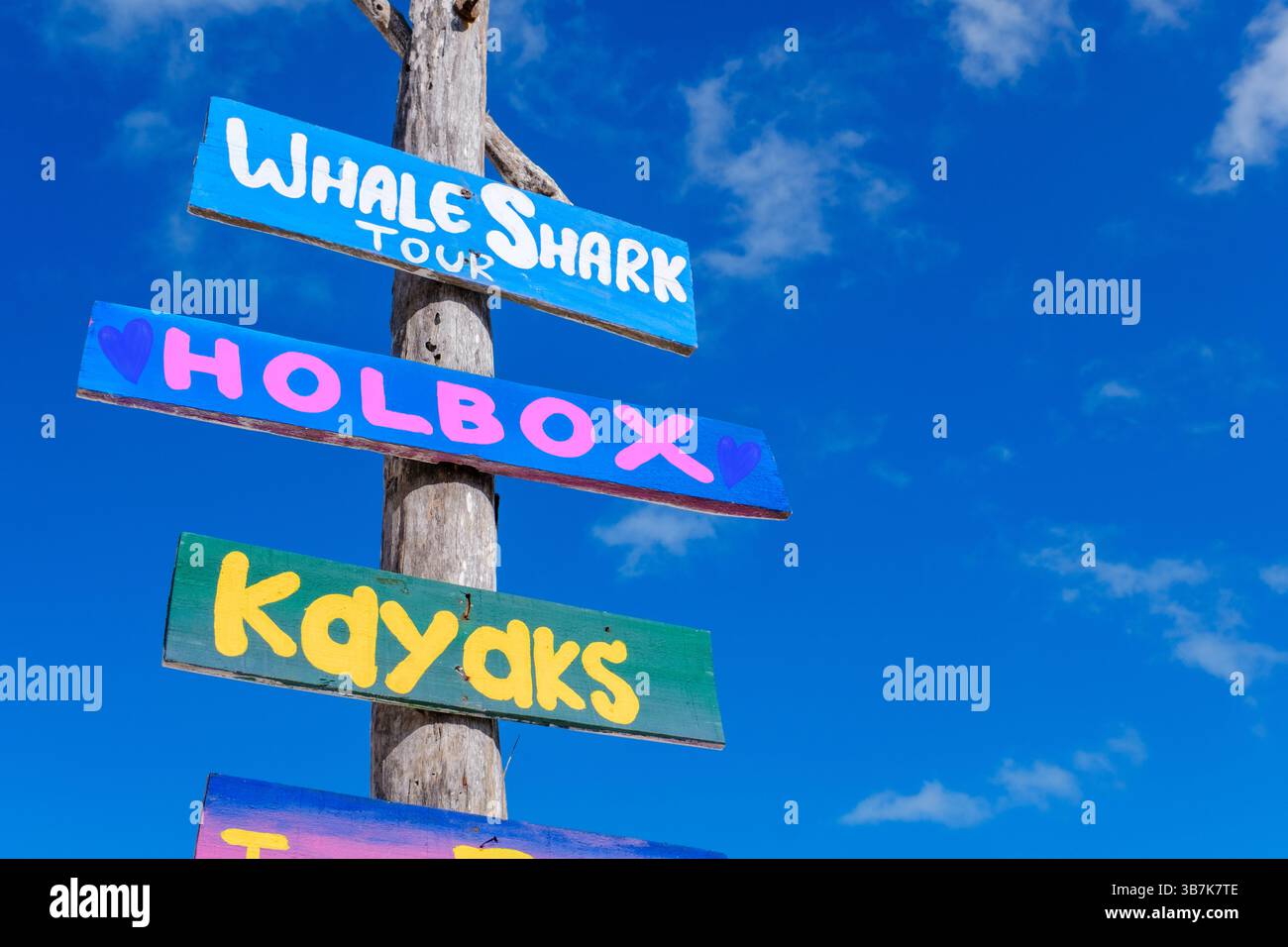 Three rustic wooden signs in Holbox, Mexico advertising whale shark ...