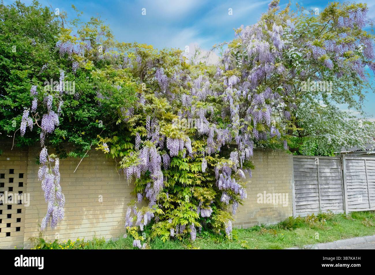 Overhanging wall hi-res stock photography and images - Alamy