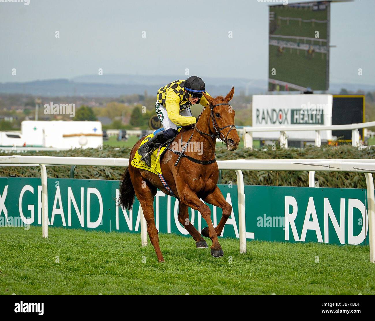 Dancing city horse jump hi-res stock photography and images - Alamy