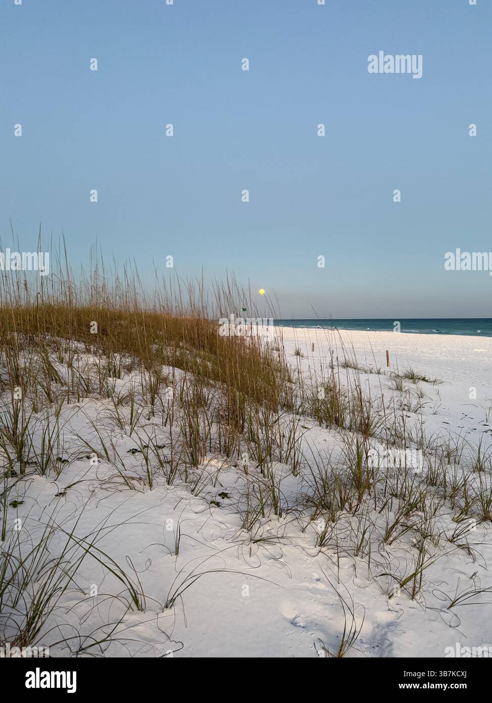 Destin Florida beach white sand dunes with full moon Stock Photo - Alamy