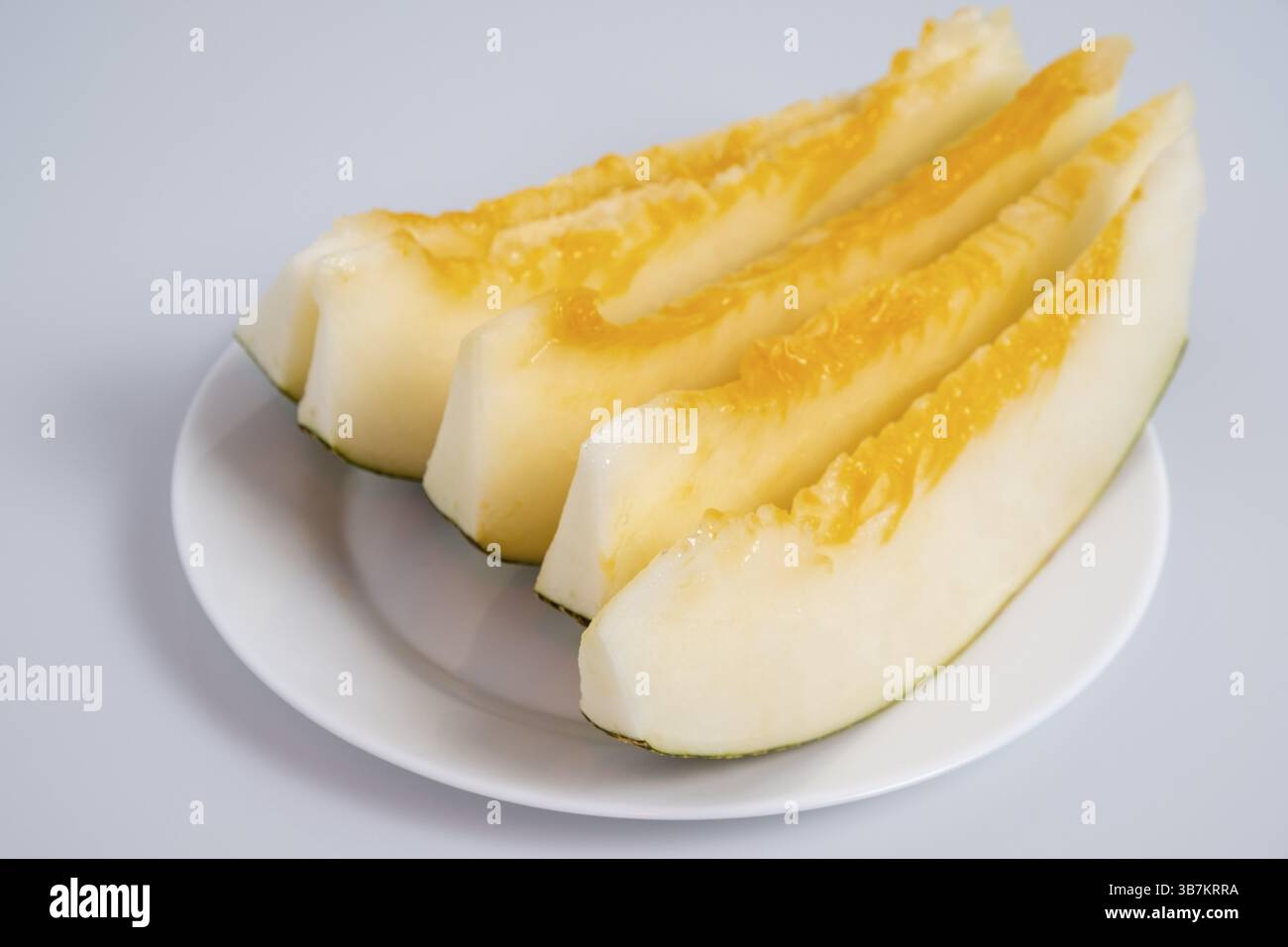 Melo gastropod hi-res stock photography and images - Alamy