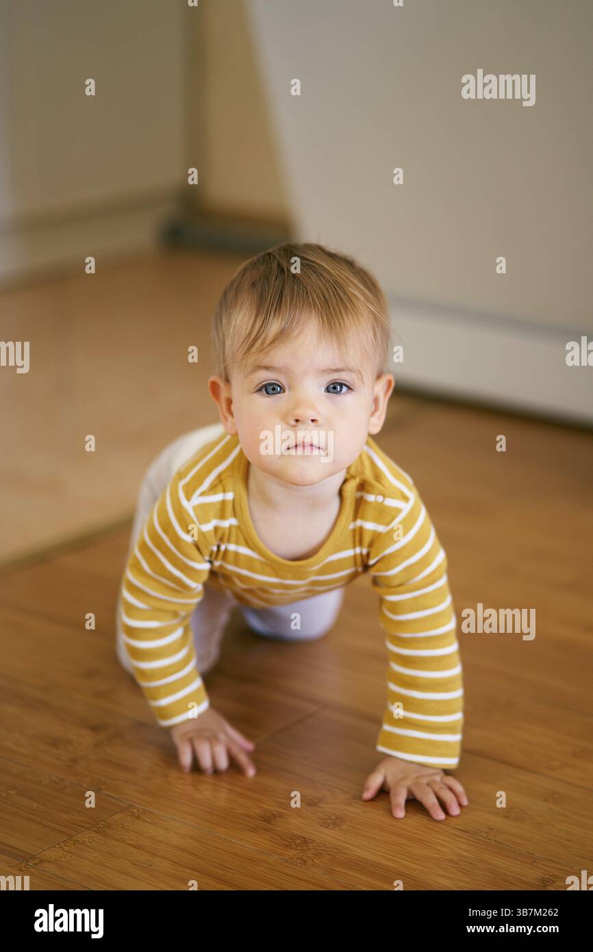 Serious kid is on all fours on the wooden floor in the kitchen. Close ...