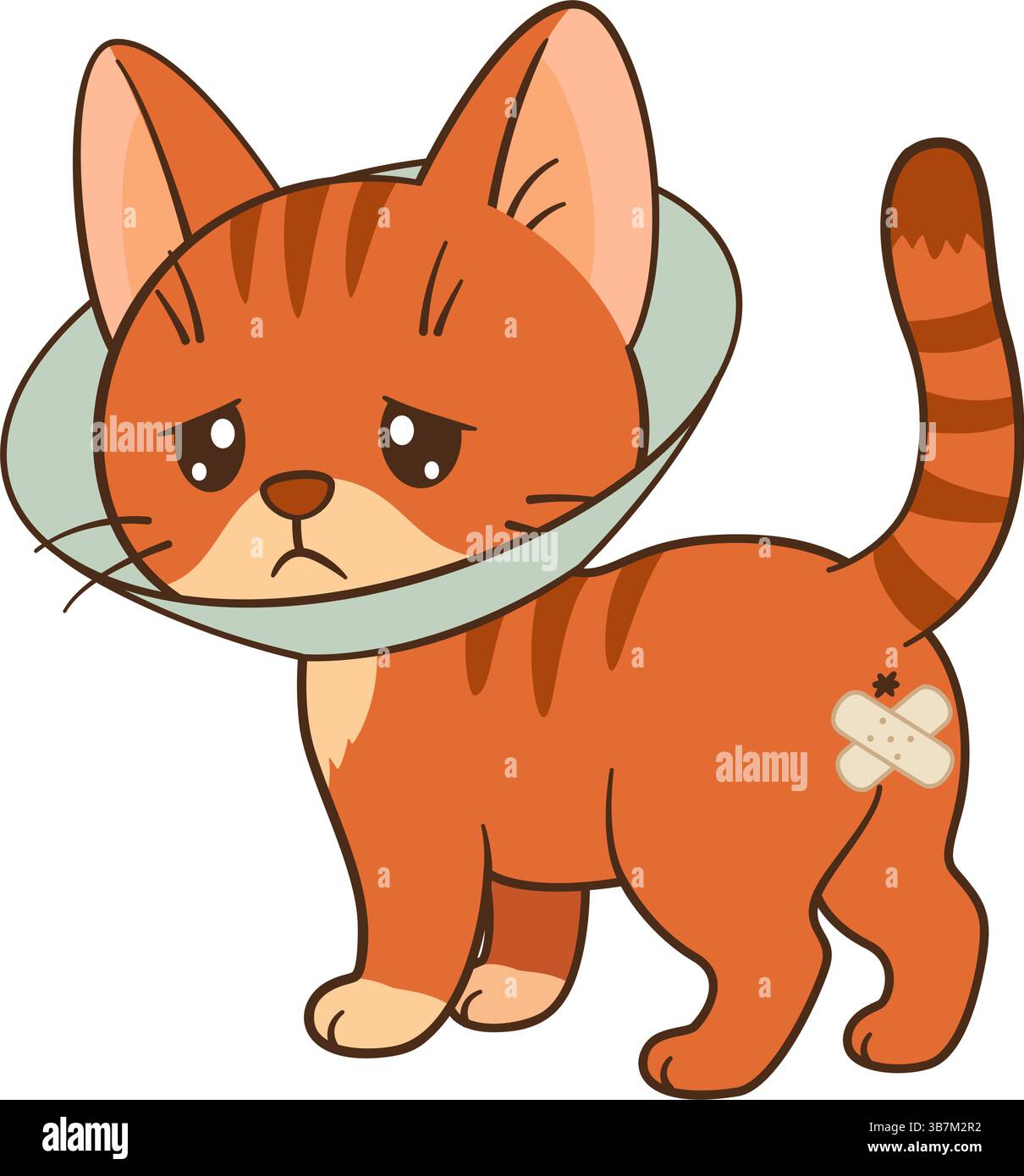 Sad orange tabby cat with cone collar after sterilization operation ...