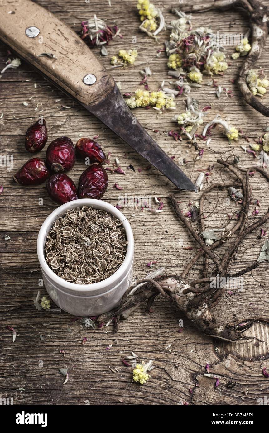 Medicinal herbs and roots in dried form, as means of alternative ...