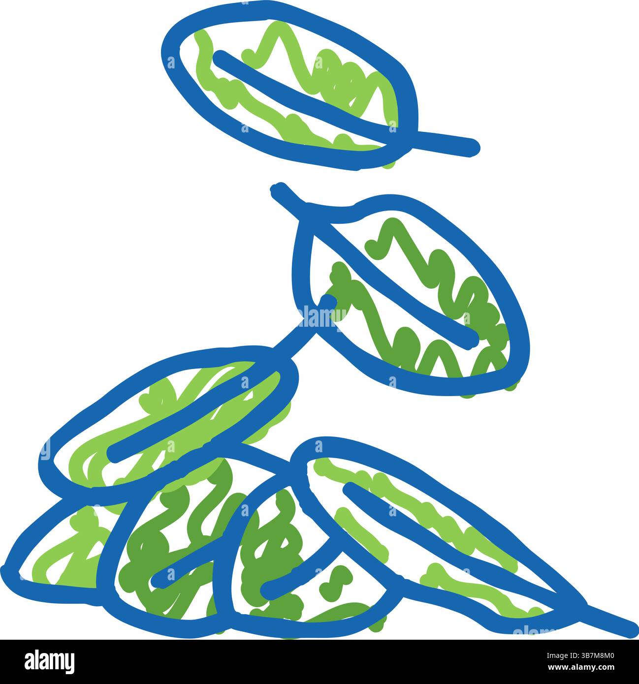 leaves spinach icon doodle illustration Stock Vector Image & Art - Alamy