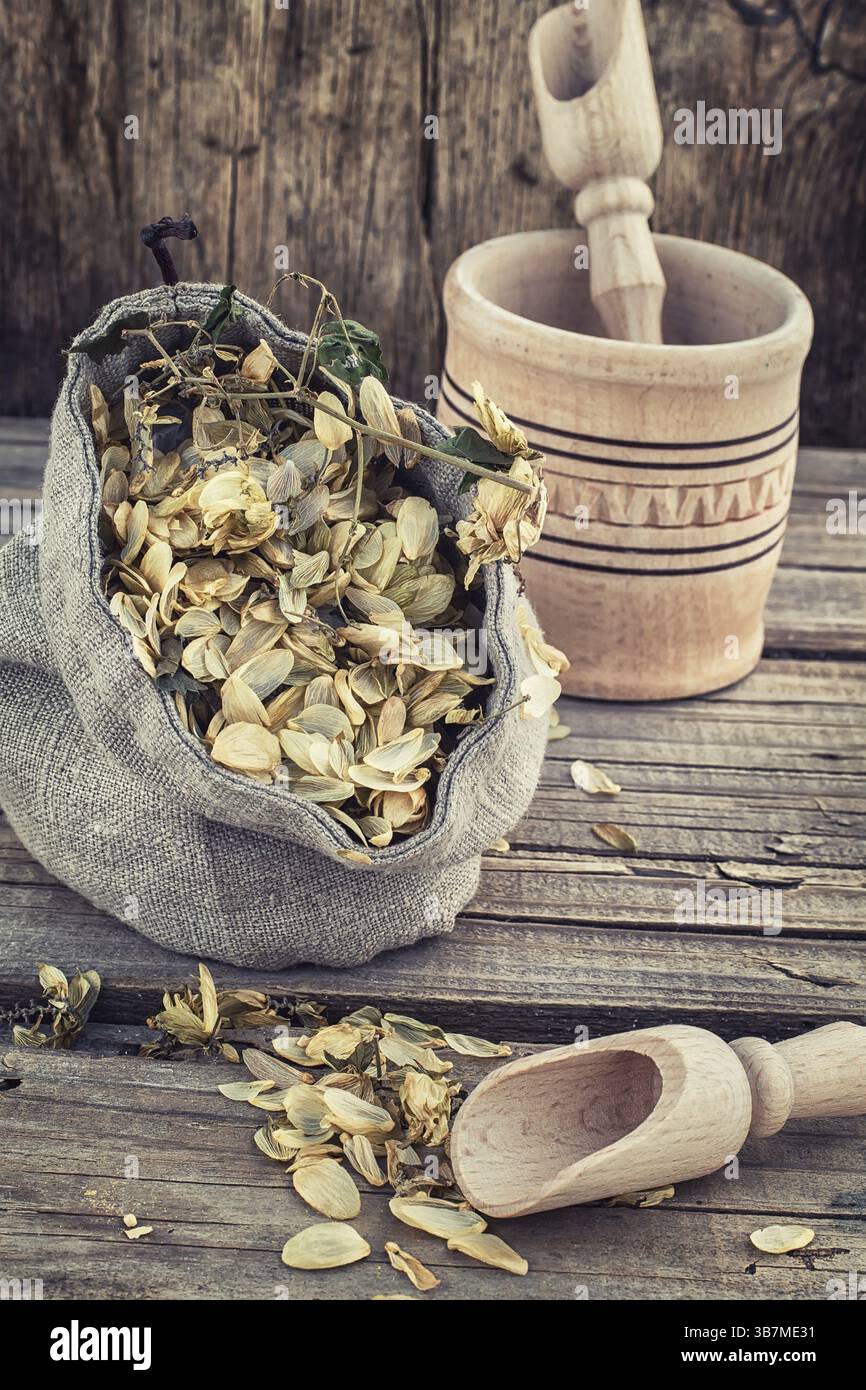 Bag harvest dried hop hi-res stock photography and images - Alamy