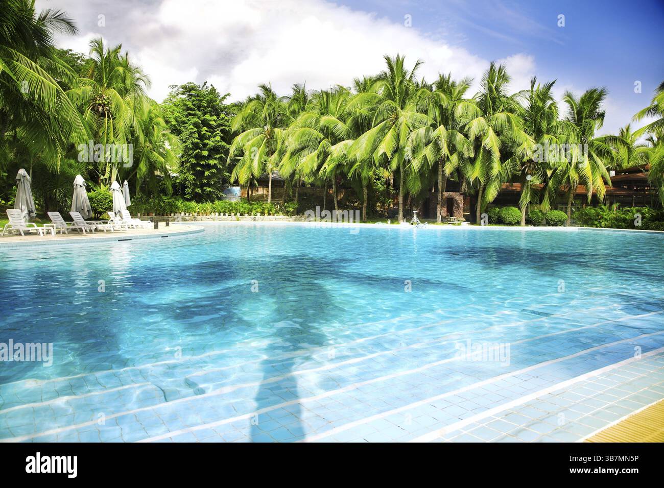 Swimming pool with coconut tree and white umbrella Stock Photo - Alamy