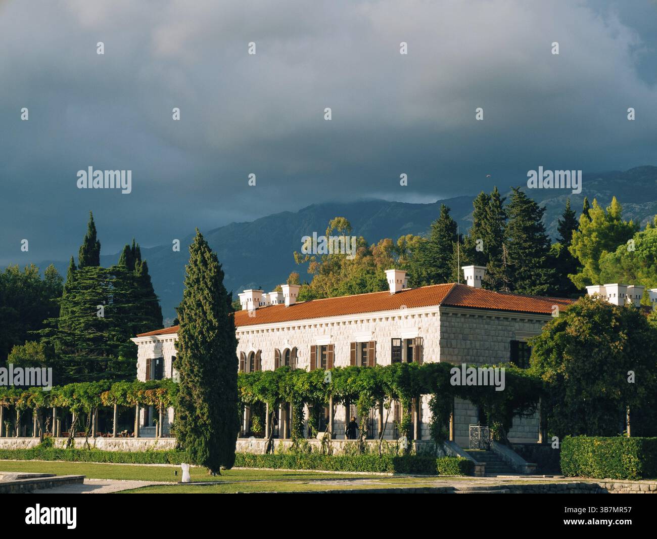 The park Milocer, Villa, beach Queen. Near the island of Sveti Stefan in Montenegro. Close-up of ...
