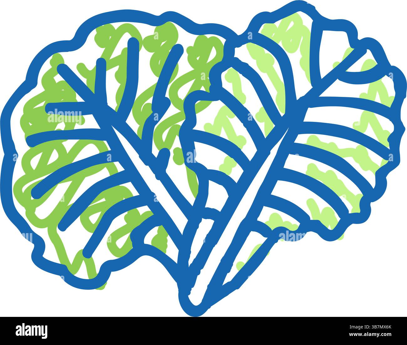 leaf cabbage icon doodle illustration Stock Vector Image & Art - Alamy