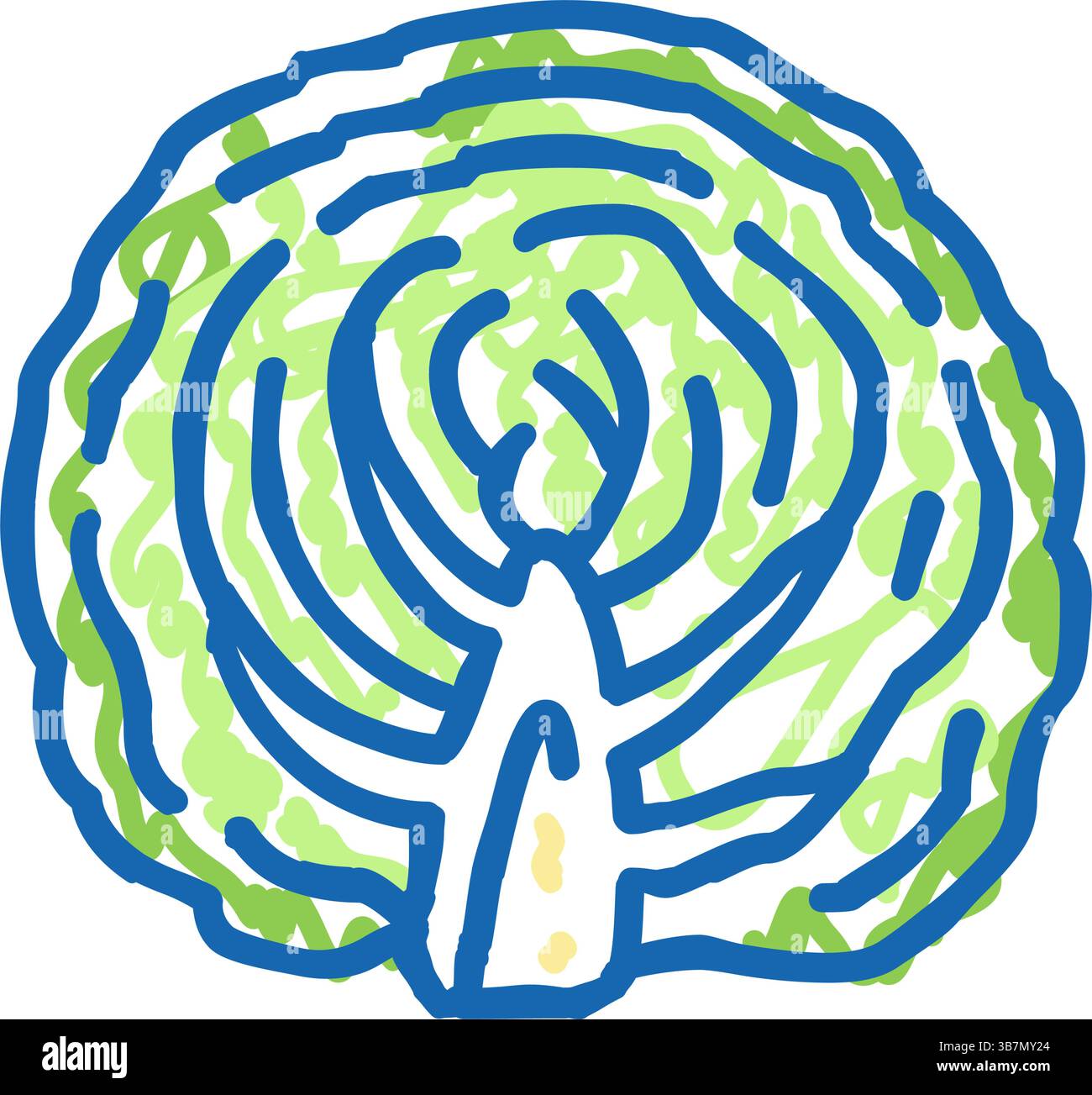 half of cabbage vegetable icon doodle illustration Stock Vector Image ...
