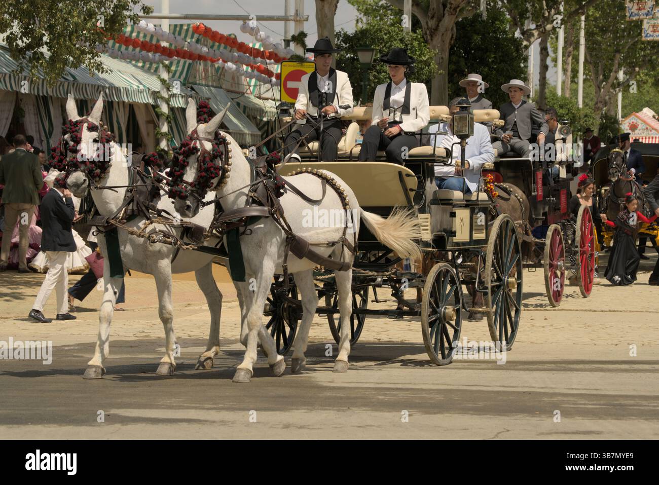 Horse-drawn carriage pulled by white horses during the parade at ...