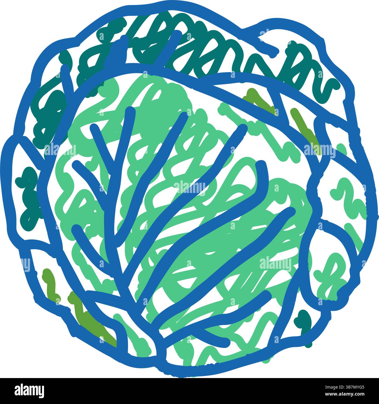 Field leaf green cabbage Stock Vector Images - Alamy