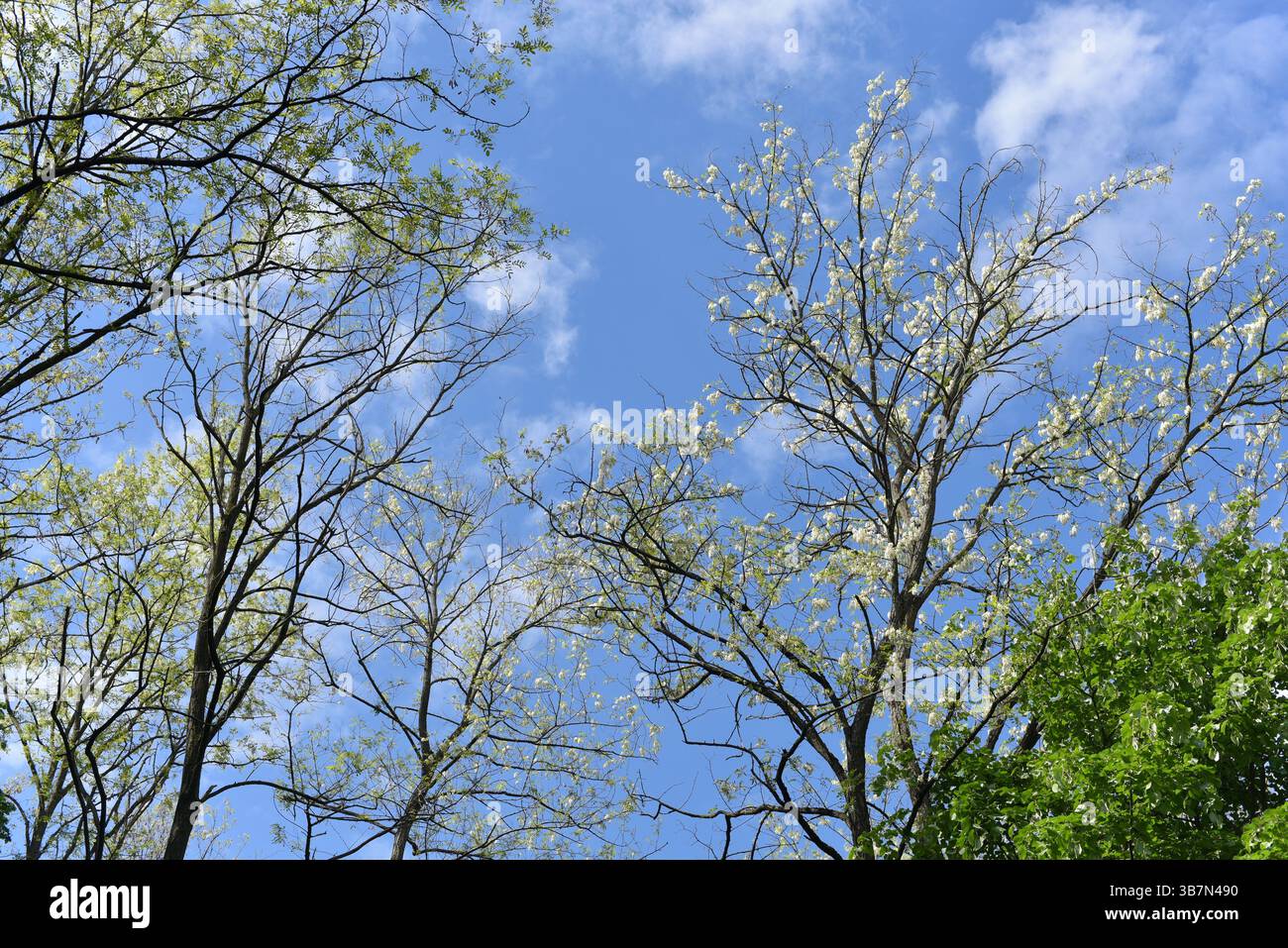 Mecsek mountains hi-res stock photography and images - Alamy