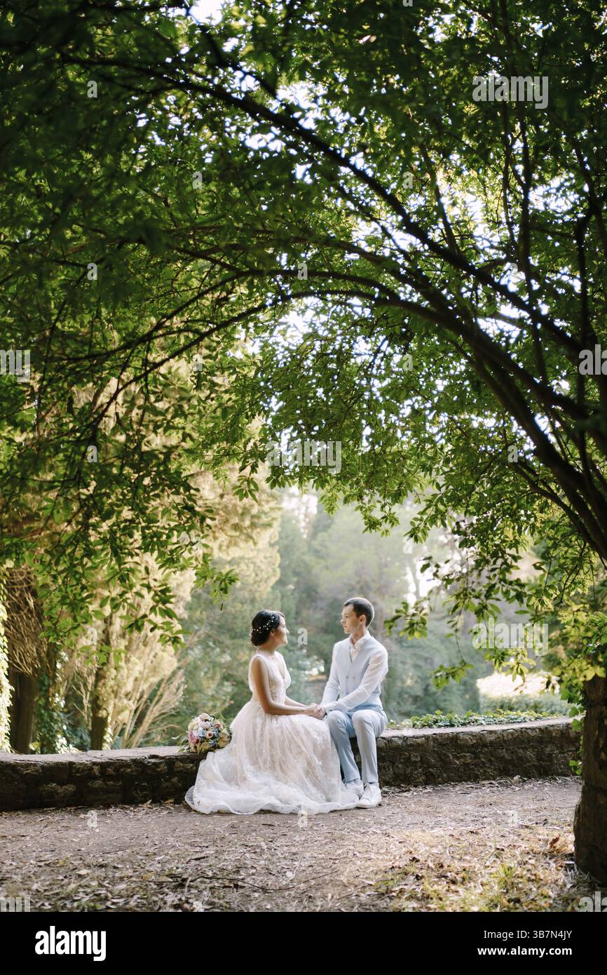 The bride and groom sitting holding hands under lush bush in the olive ...