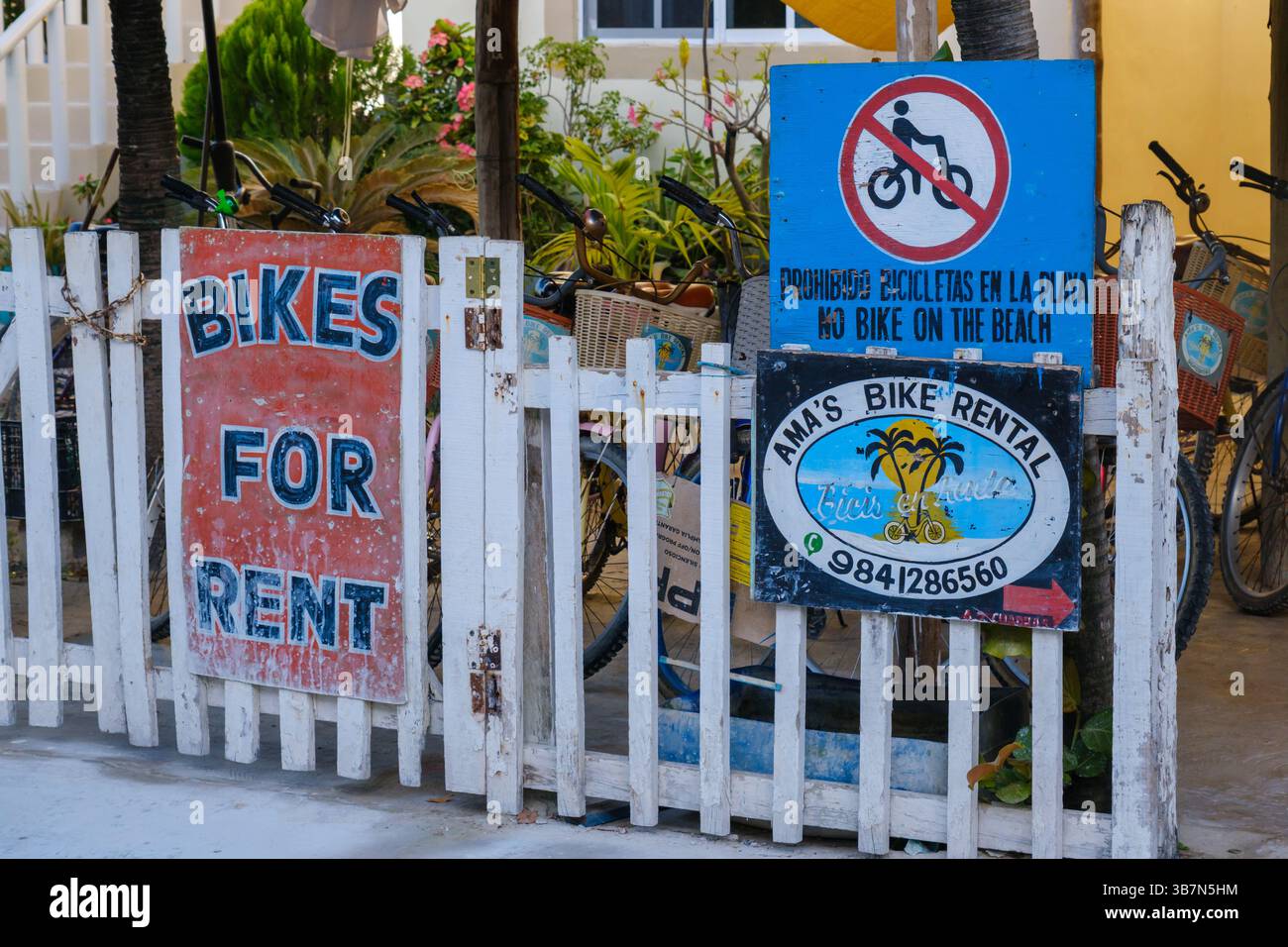 Isla Holbox, Mexico – 12 February 2025: Signs promoting local bike rental services scattered ...