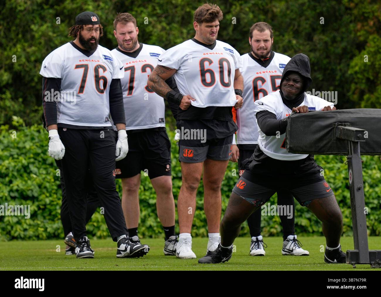 Cincinnati Bengals offensive tackle Amarius Mims, right, pushes the ...