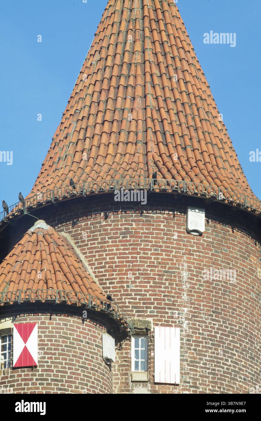 Birds resting on the gutter of a medieval brick tower with conical tile ...