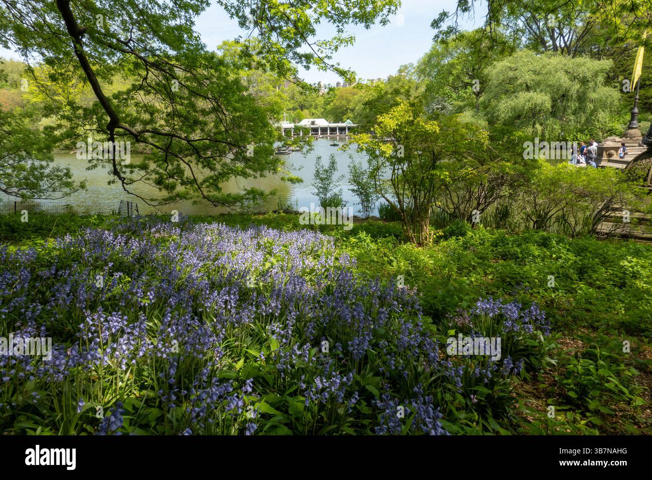 The Loeb boathouse in Central Park is located on the lake, New York ...
