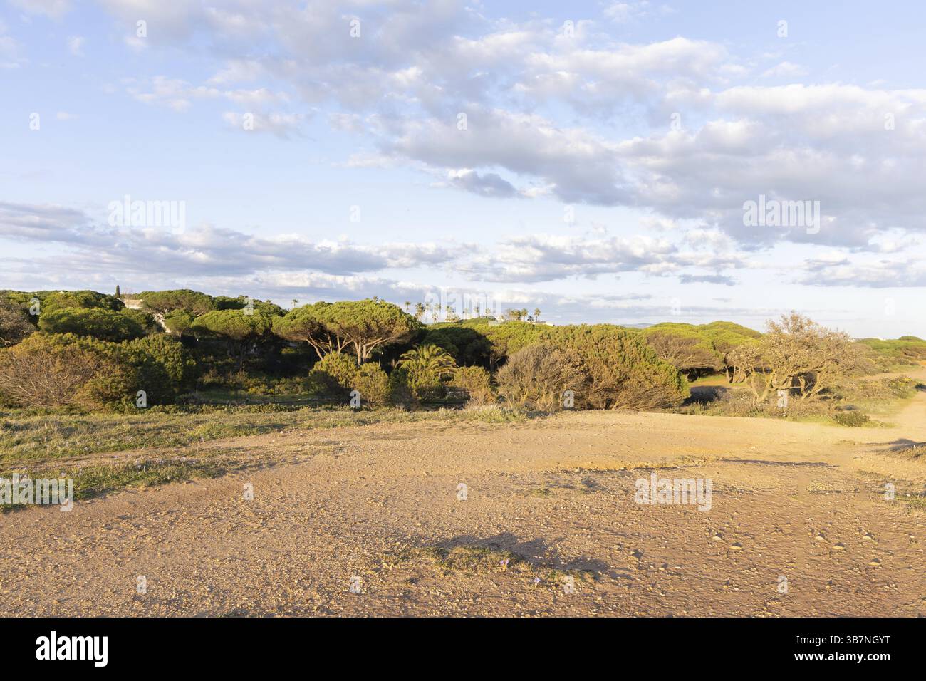 Poco velho hi-res stock photography and images - Alamy