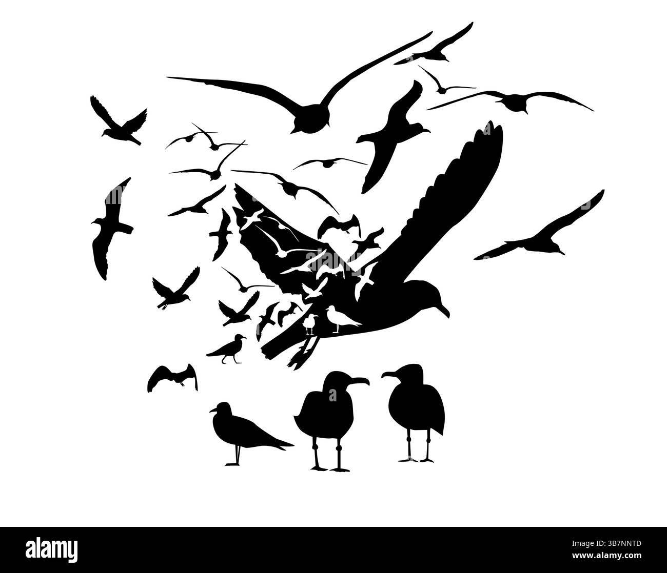 Flying birds silhouettes on white background. Vector illustration ...