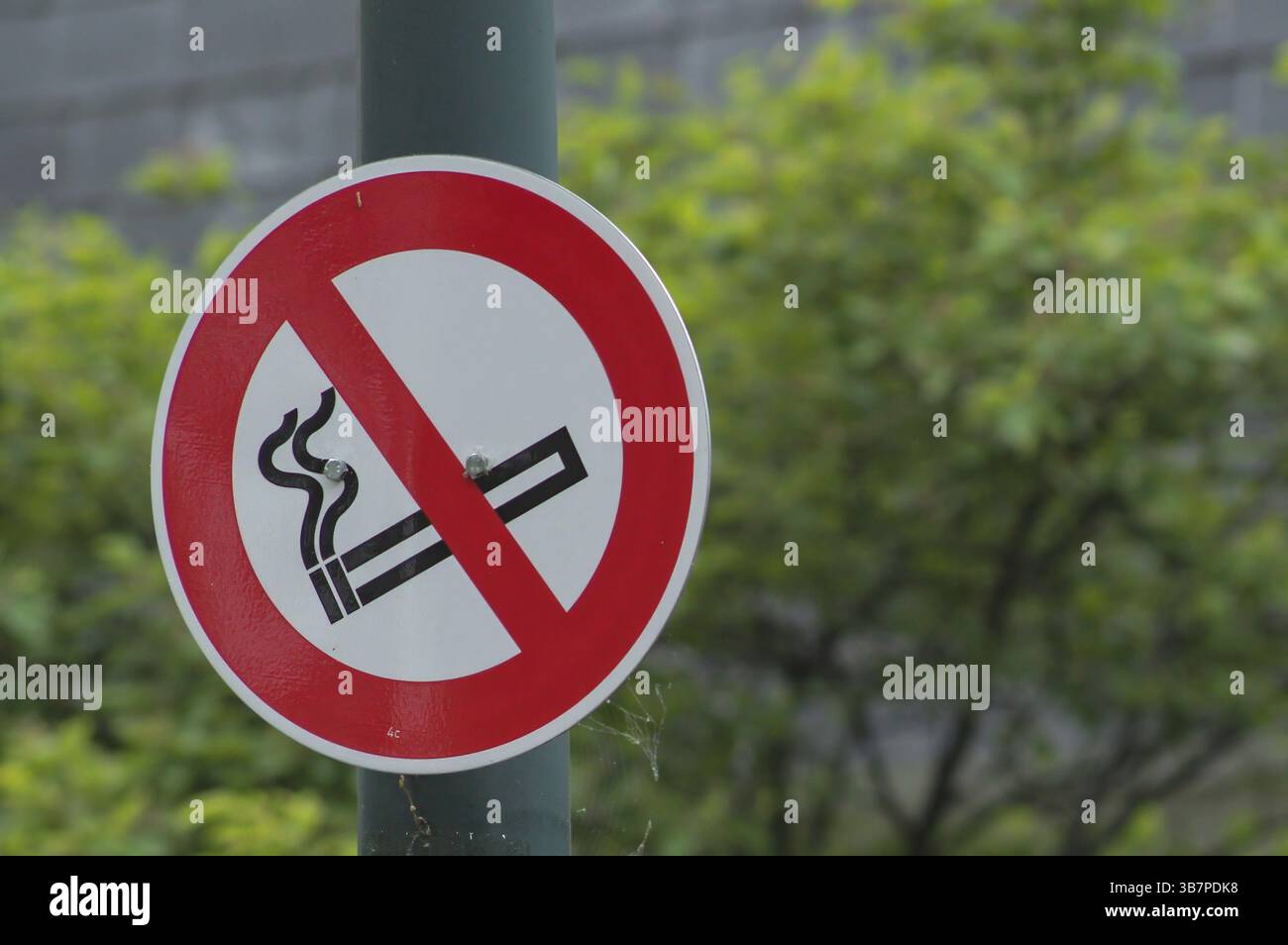 Round no smoking sign attached to a pole, reminding people about ...