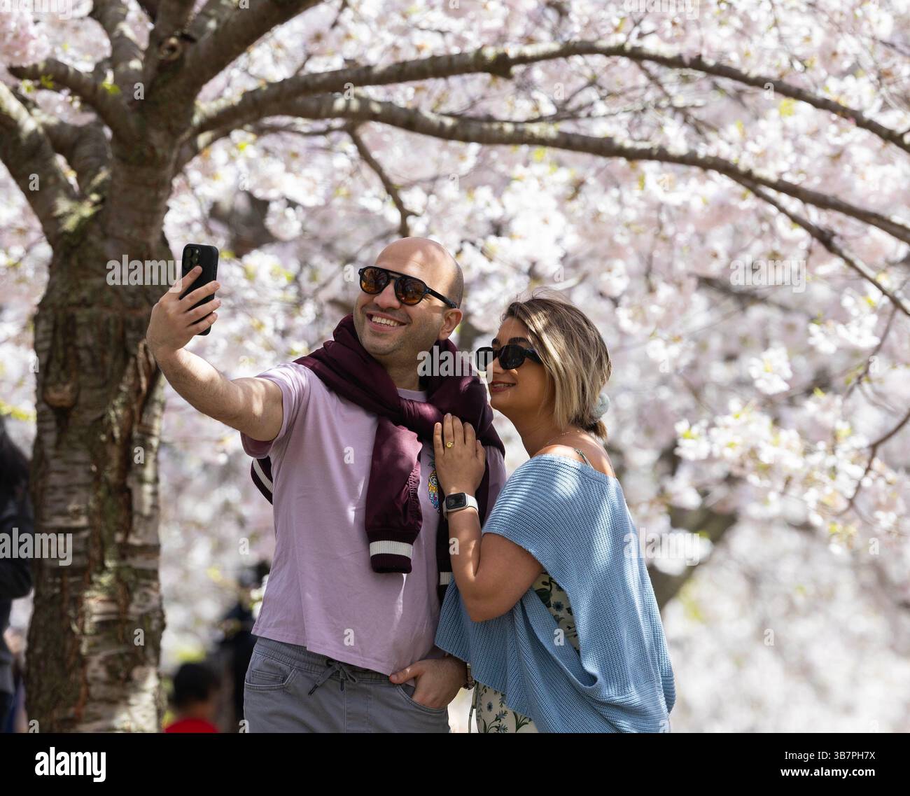 Toronto, Canada. 6th May, 2025. A man takes a selfie with cherry ...