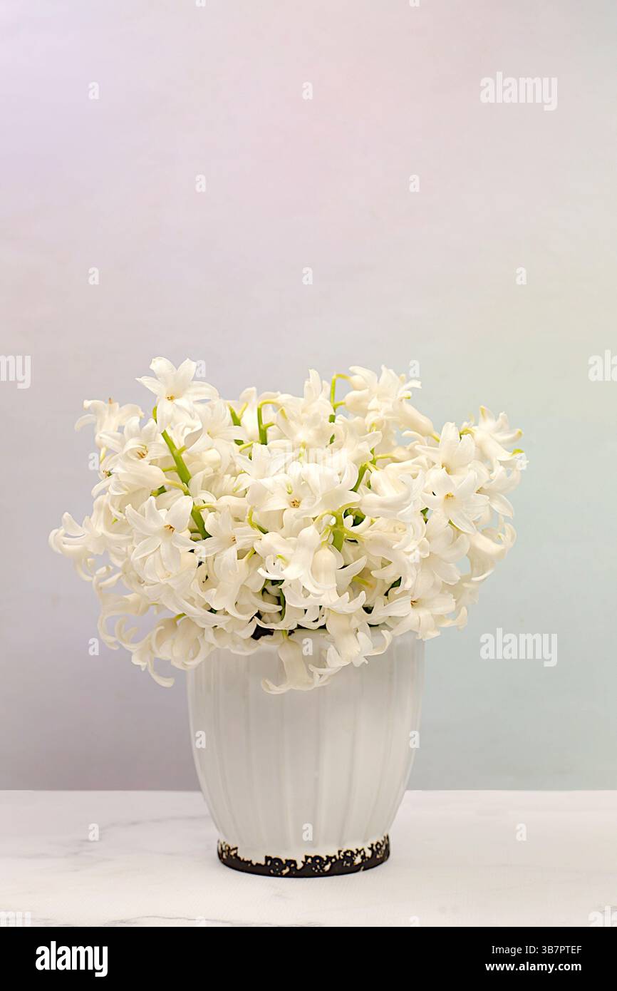 Abstract floral arrangement. Beautiful flyer with snow-white hyacinths ...