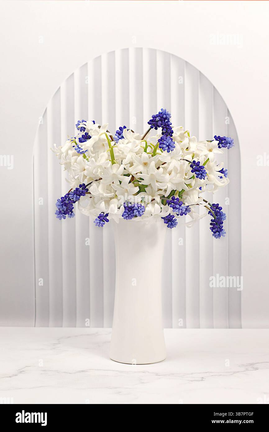 Beautiful still life with white hyacinths and blue muscari in a vase on ...