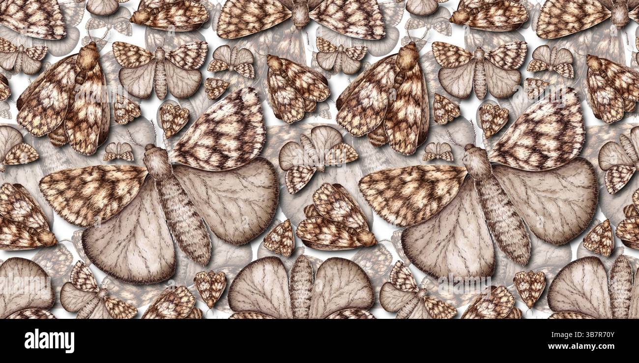 Grey-brown moth, with wings folded and spread, watercolor illustration ...