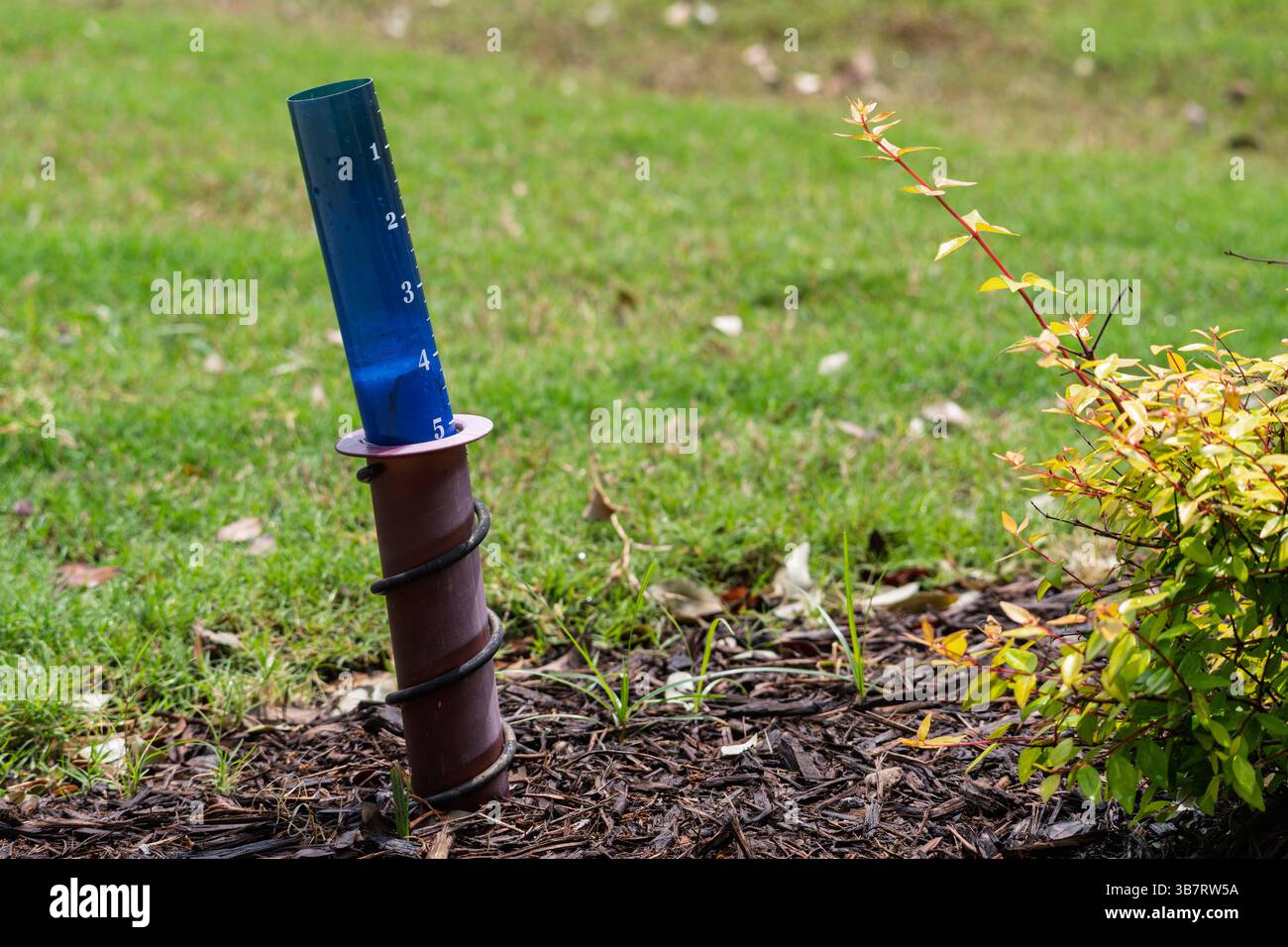 Outdoor plastic rain gauge showing five inches of rain from downpour ...