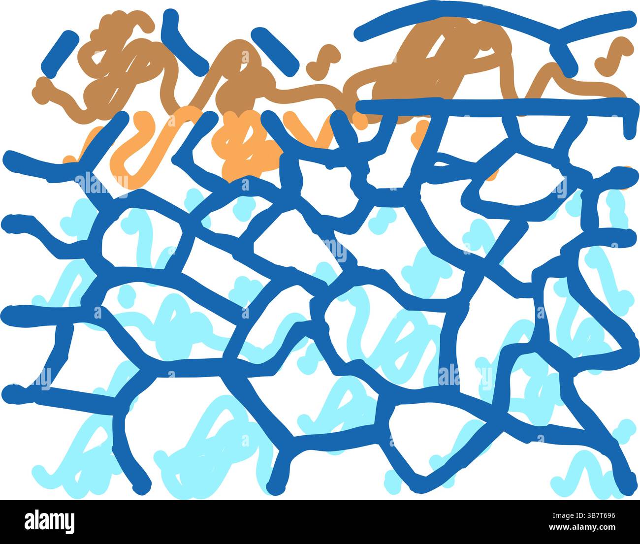 Salt woman food Cut Out Stock Images & Pictures - Alamy