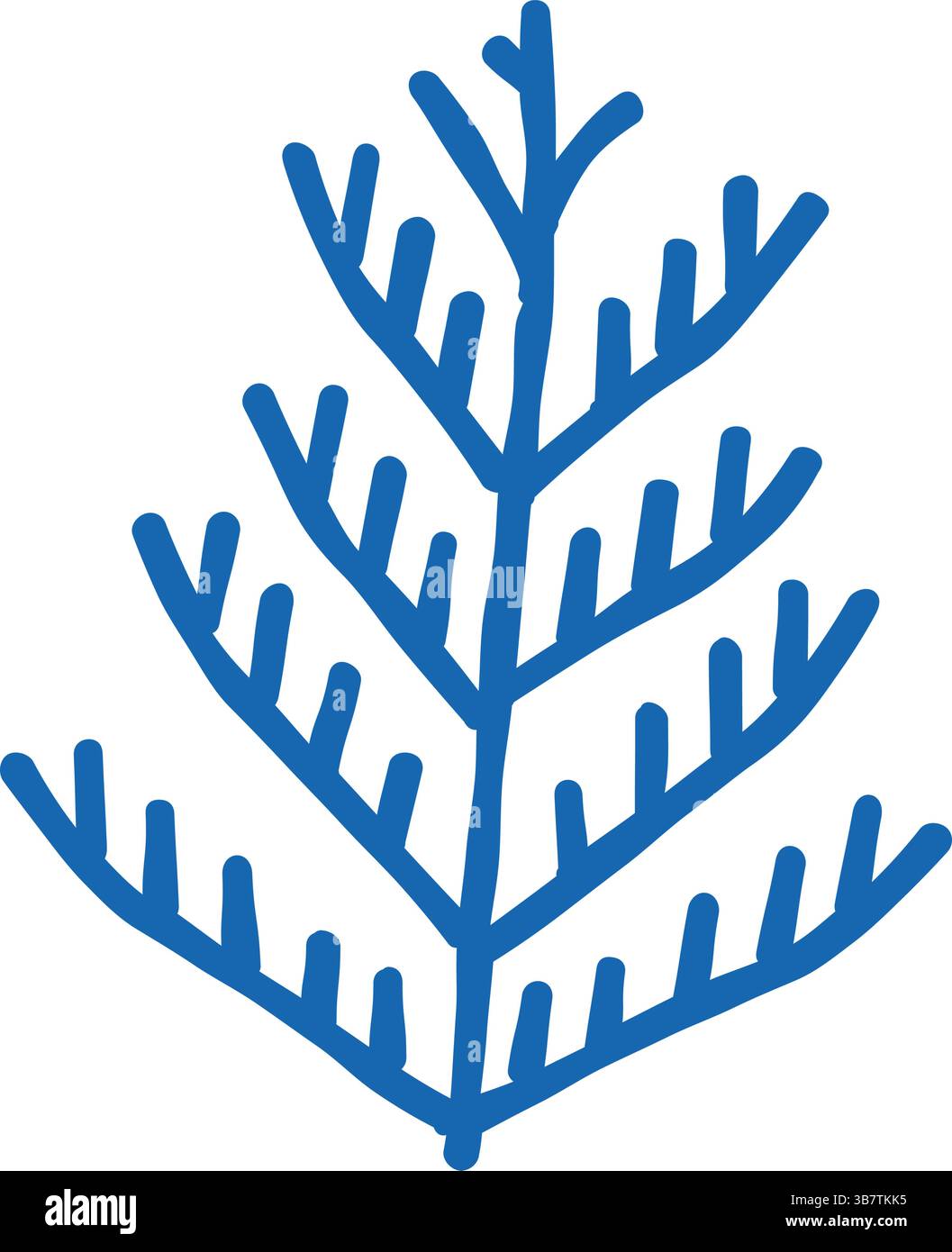 cedar plant leaf icon doodle illustration Stock Vector Image & Art - Alamy