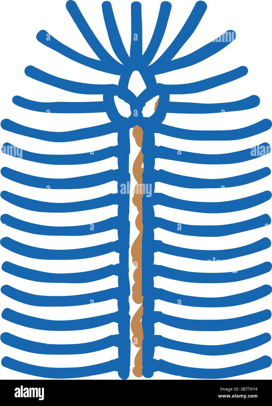 pine leaf icon doodle illustration Stock Vector Image & Art - Alamy