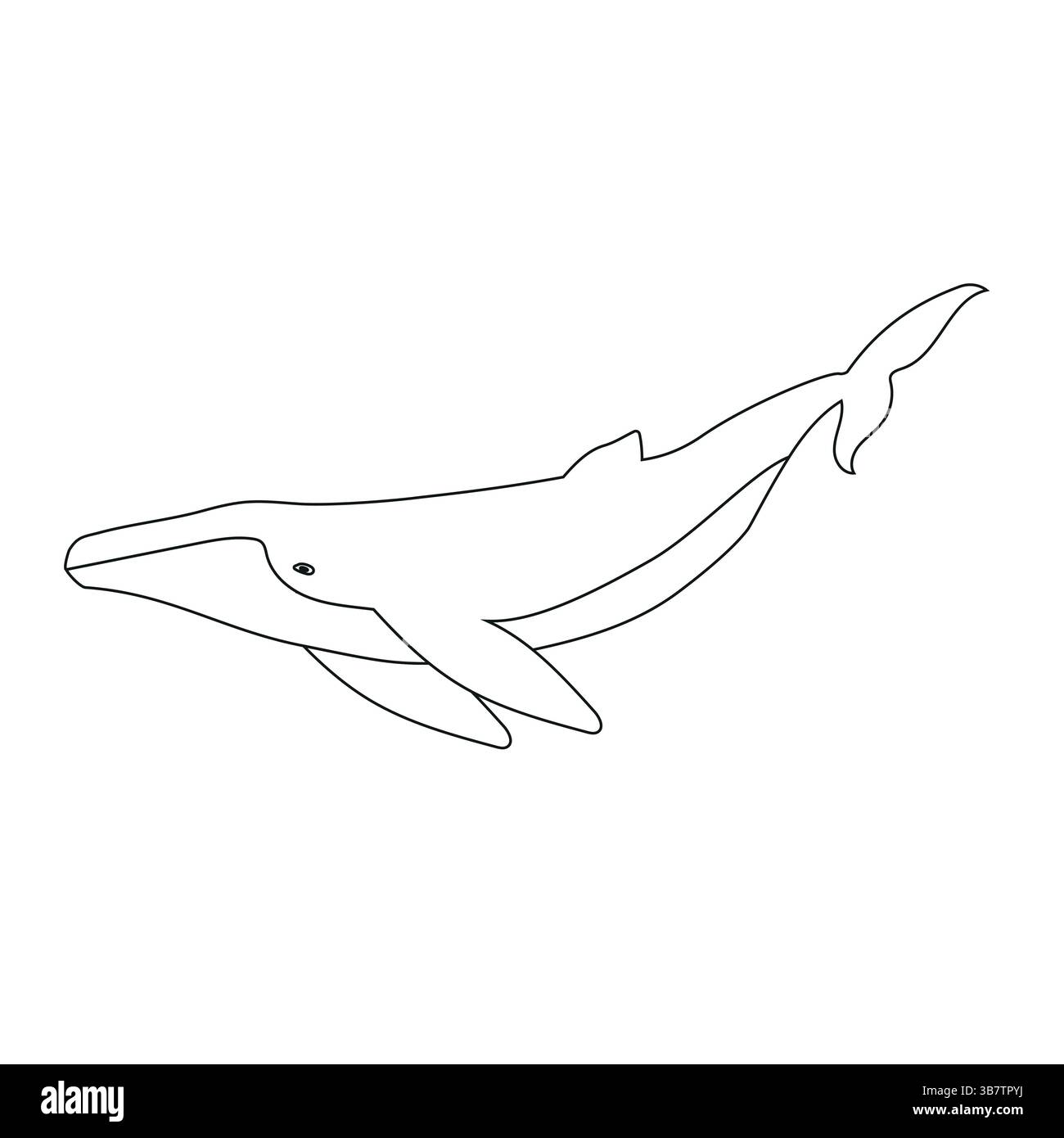 Vector flat hand drawn outline humpback whale isolated on white ...