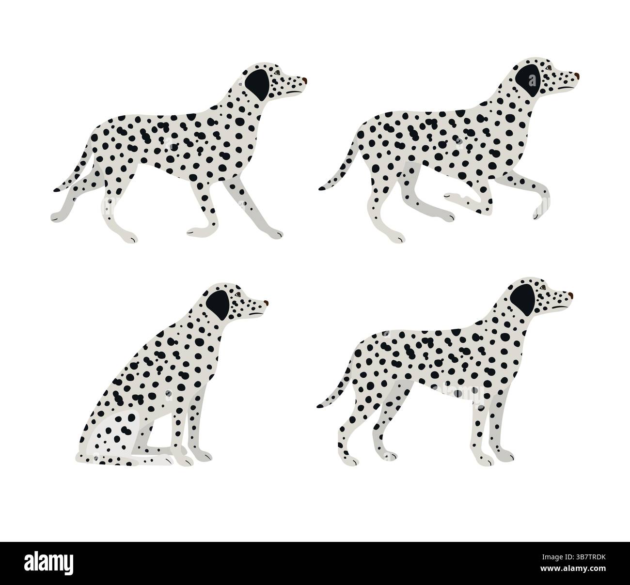 Vector set of flat hand drawn dalmatian dog isolated on white ...