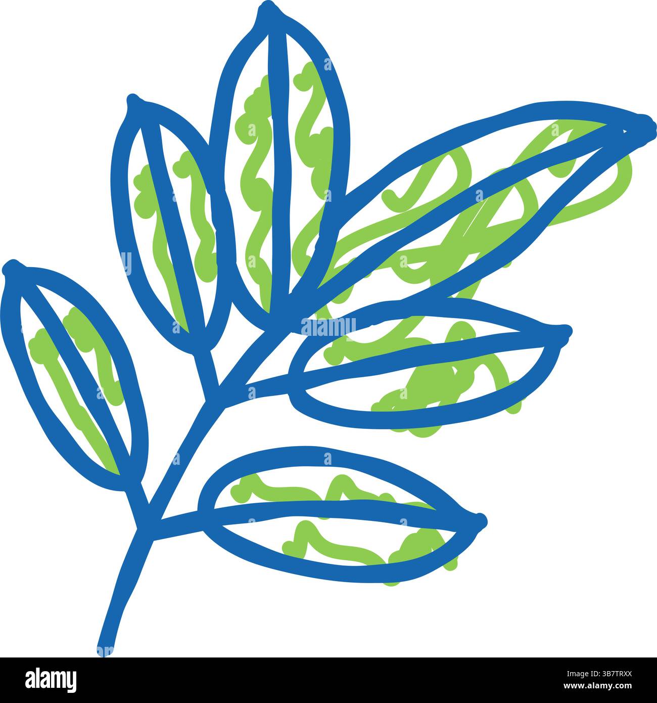 Mahogany walnut and ash hi-res stock photography and images - Alamy