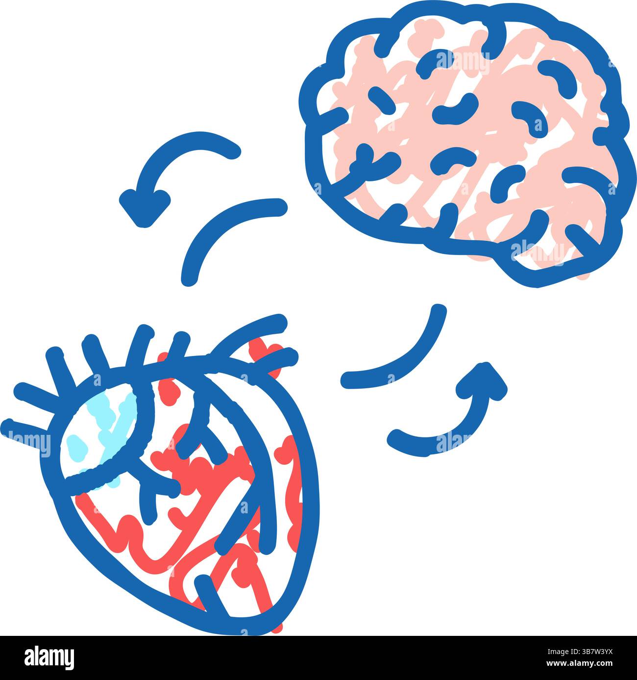 Baroreflex hi-res stock photography and images - Alamy