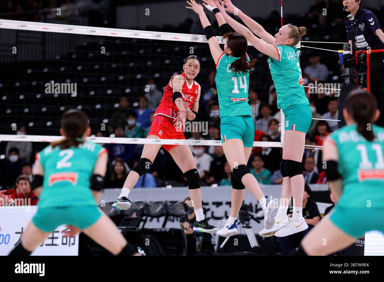 Yoshino Sato (NEC), MAY 2, 2025 - Volleyball : 2024-25 SV.LEAGUE Women Championship Finals match ...