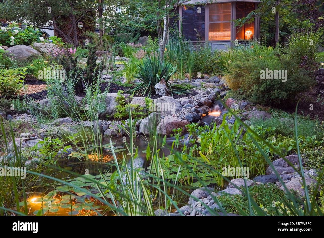 Pond with waterfall, Typha minima - Dwarf Cattails, Pondeteria cordata ...