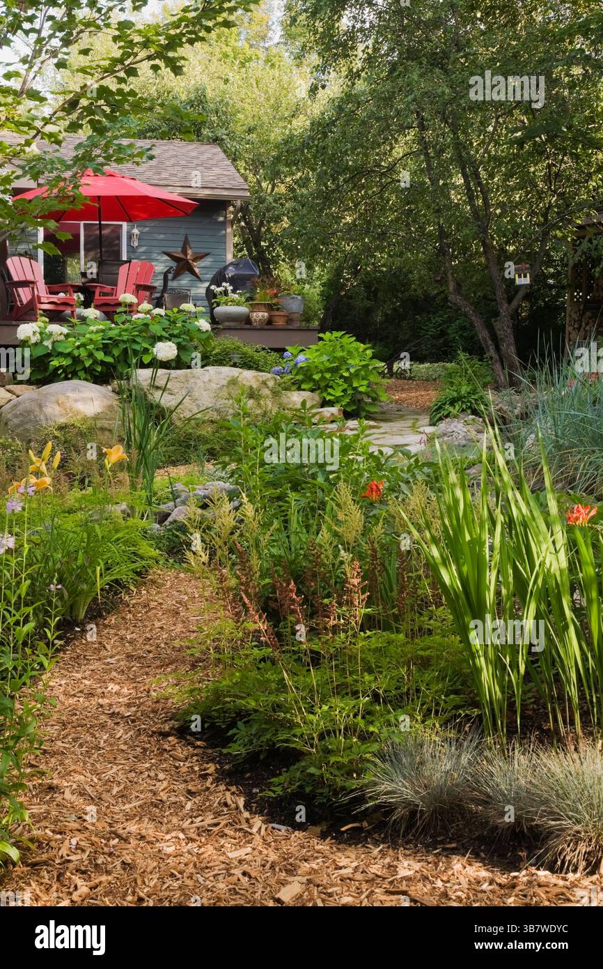 Cedar mulch path leading to patio deck, Festuca glauca 'Elijah Blue ...