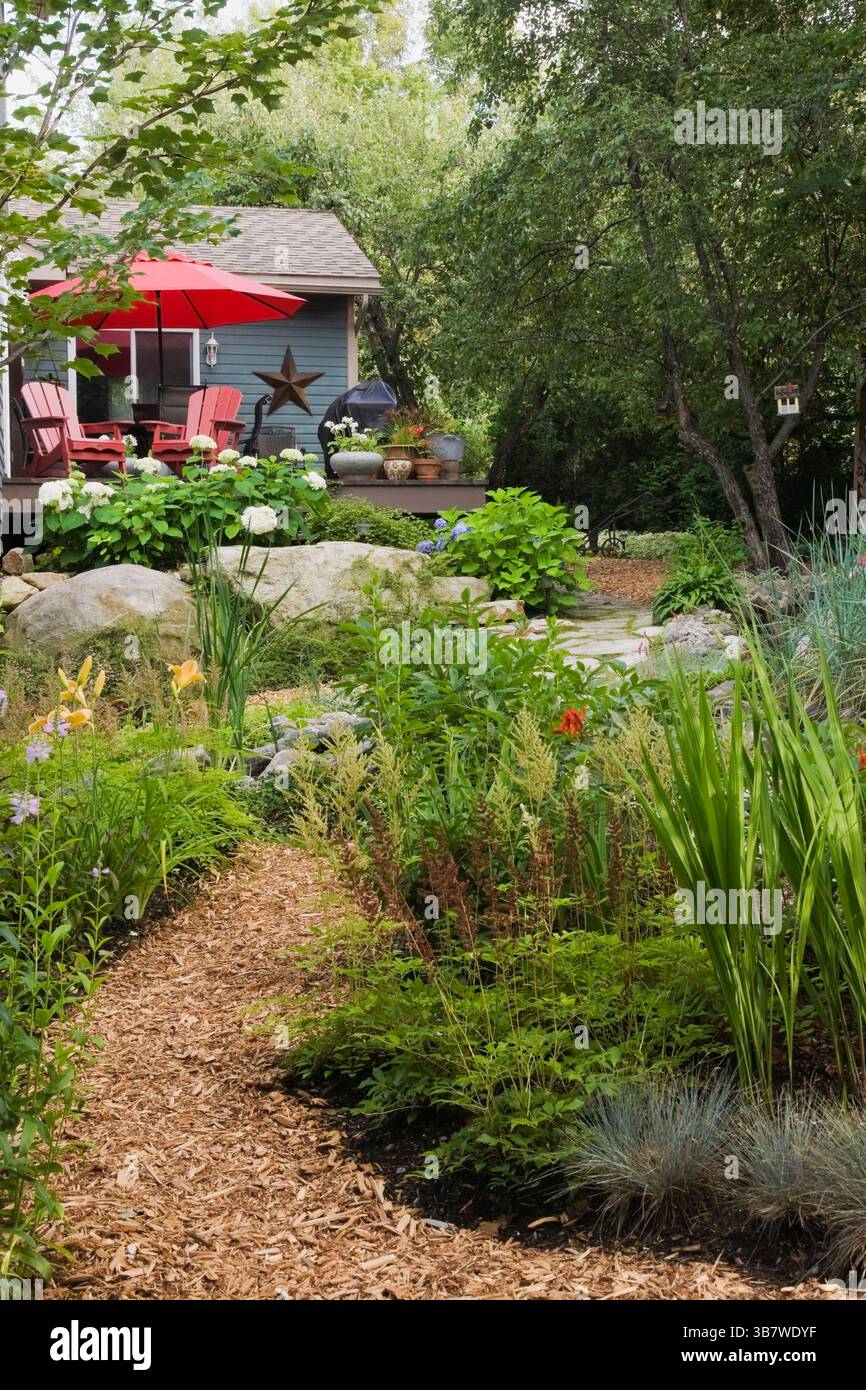 Cedar mulch path leading to patio deck, Festuca glauca 'Elijah Blue ...