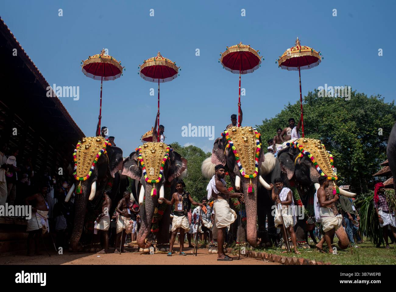 Part of the 15 elepants enter the Vadakkunnathan temple for a ritual ...