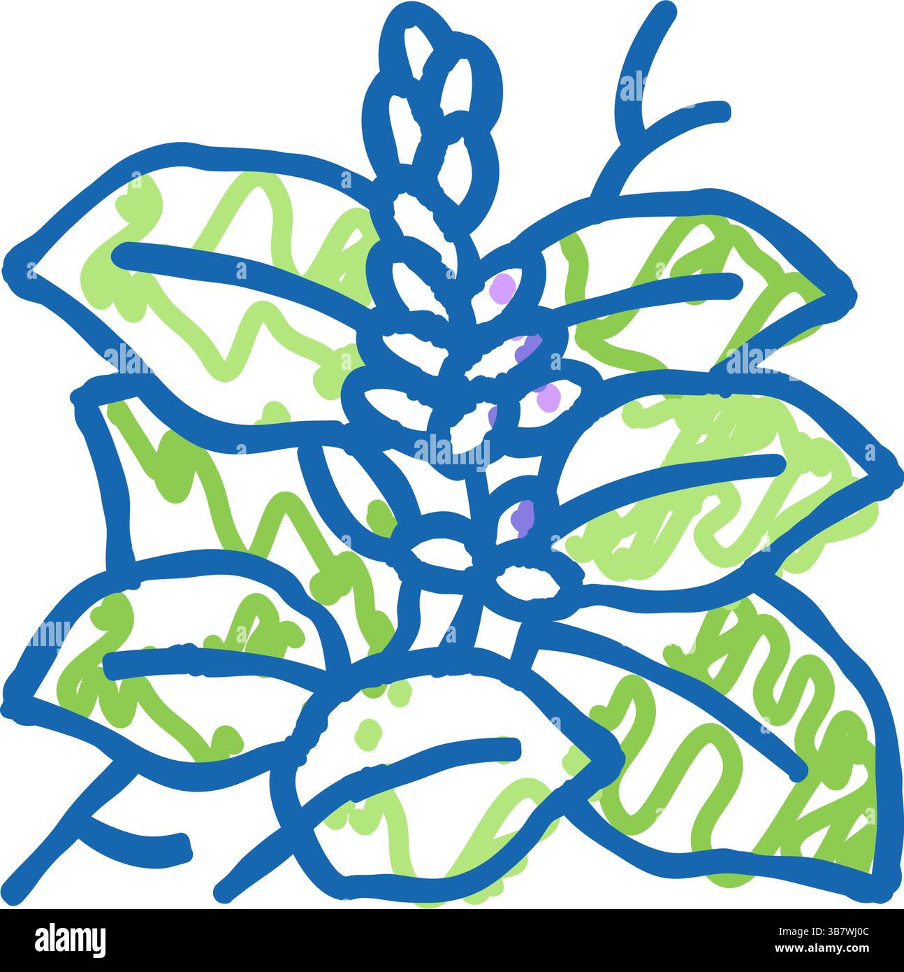 Kudzu plant Cut Out Stock Images & Pictures - Alamy