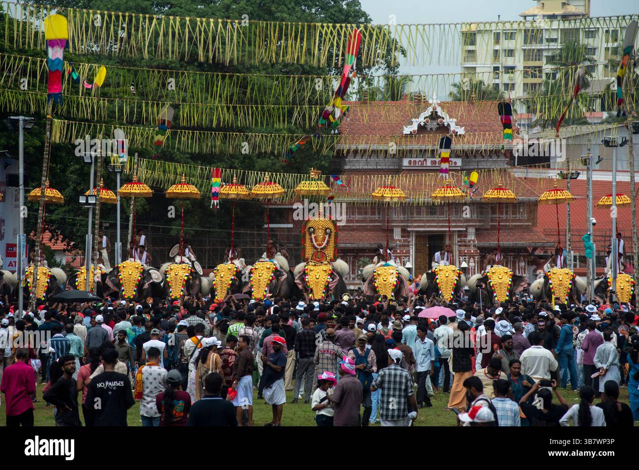 Elephants with umbrellas line up at Paramekkavu temple for Kudamattom ...