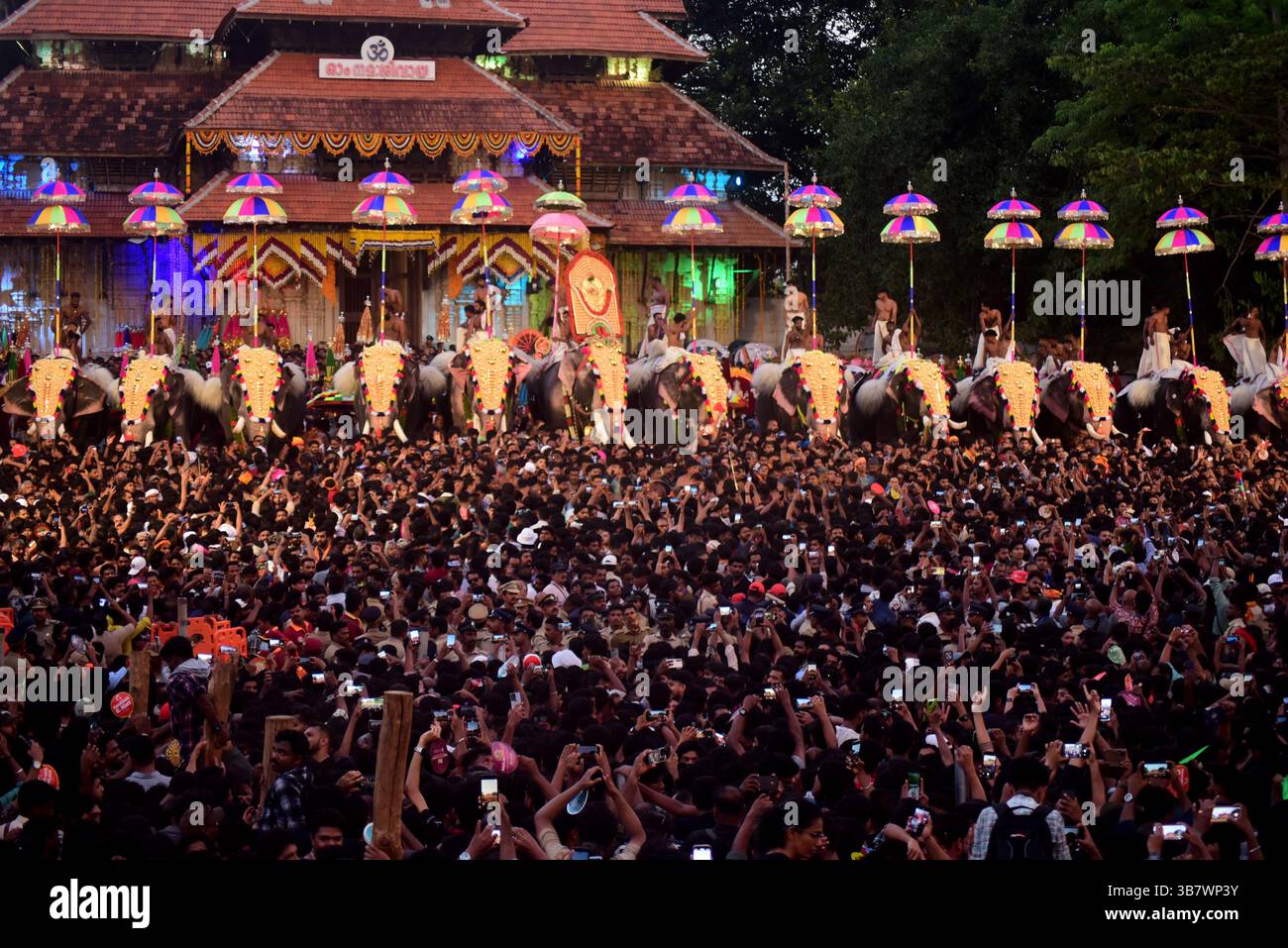 Paramekkavu temple Elephants face Thiruvambadi temple Elephants outside ...