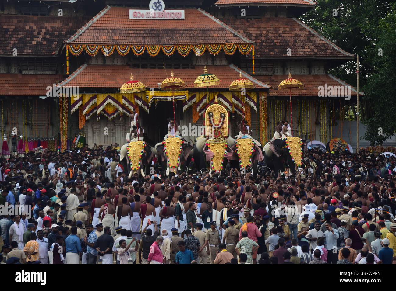 15 Elephants from Thiruvambadi temple arrive to face the 15 Elephants ...